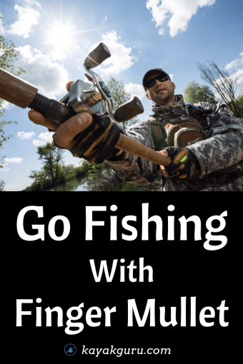 Guide To Fishing With Finger Mullet As LIVE BAIT (Catch Redfish Bluefish)