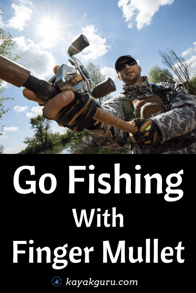 Guide To Fishing With Finger Mullet As LIVE BAIT (Catch Redfish Bluefish)