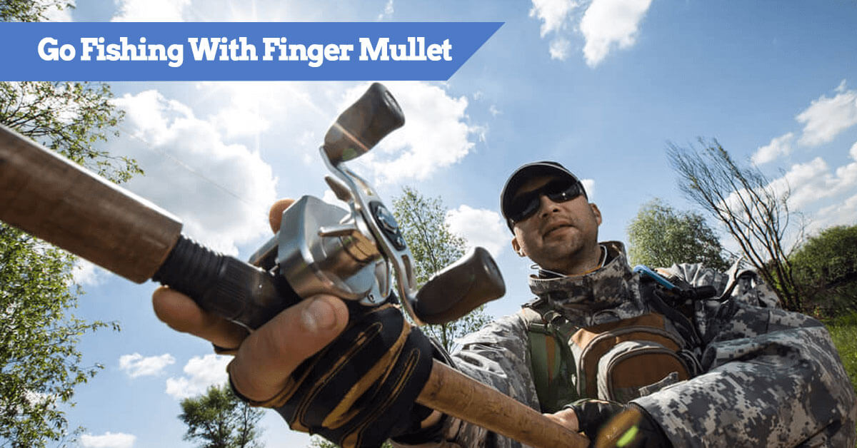 Guide To Fishing With Finger Mullet As LIVE BAIT (Catch Redfish Bluefish)