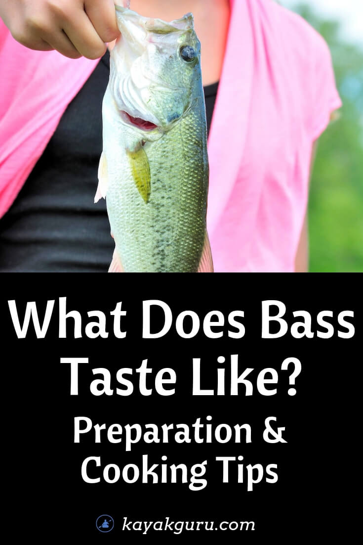 What Does Bass Taste Like Is Bass Good To Eat 