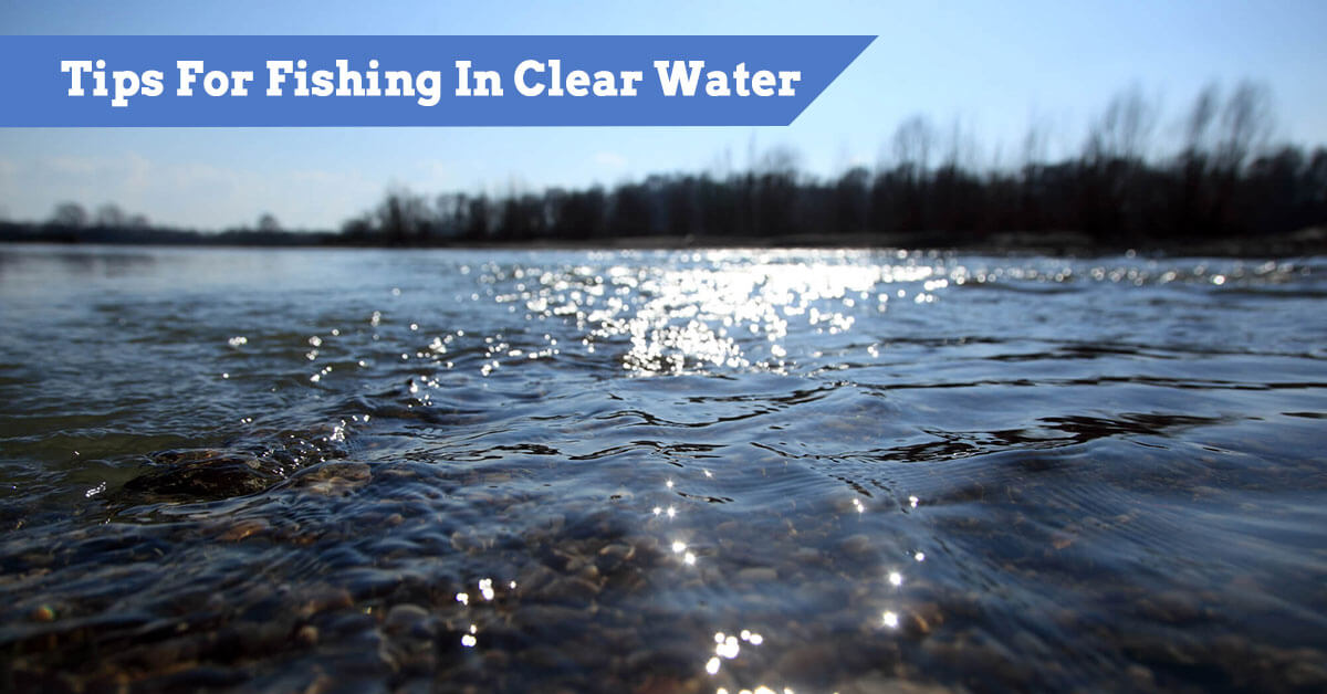 6 Tips For Fishing Bass In Clear Water | Guide To Bait, Lures And Tactics