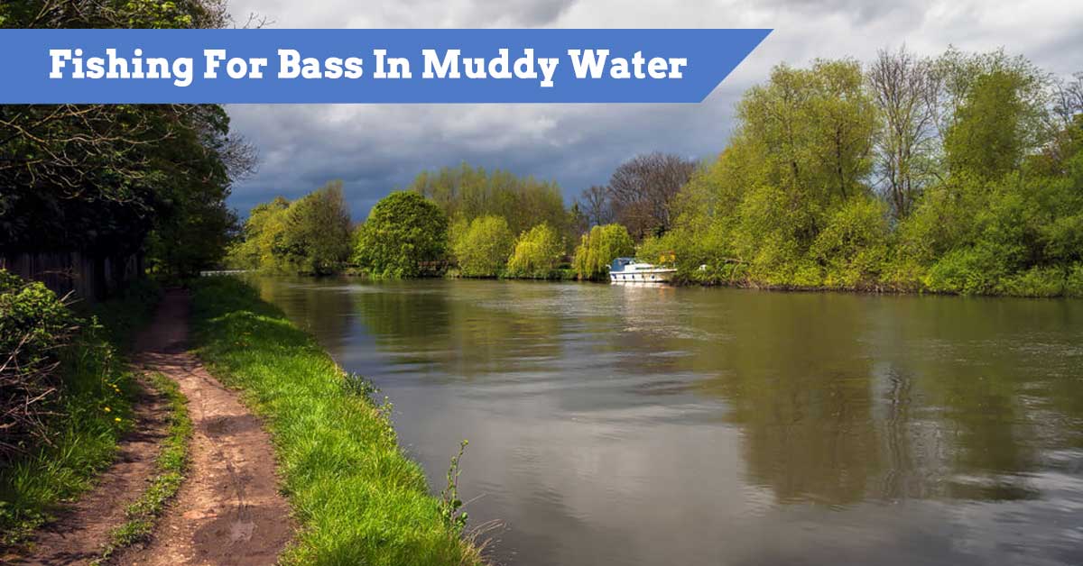 Bass Fishing In Muddy Water (How-To Guide, Tips and Lures To Use)