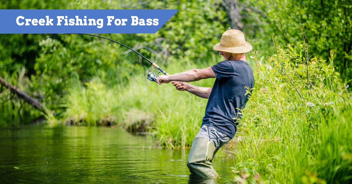 Creek Bass Fishing: 8 Tips To Land More Fish During Summer Months