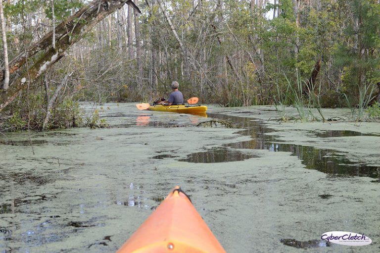 7 MUST SEE Places to Kayak in North Carolina - NC Kayaking