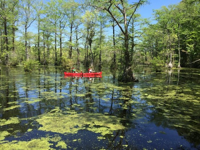 7 MUST SEE Places to Kayak in North Carolina - NC Kayaking