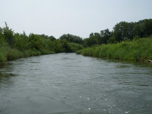5 Best Kayaking Places in Minnesota [AMAZING VIEWS]